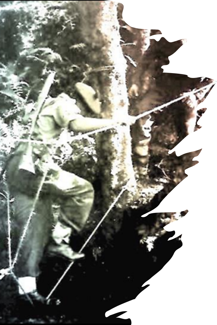 Operation Chariot Memorial Project